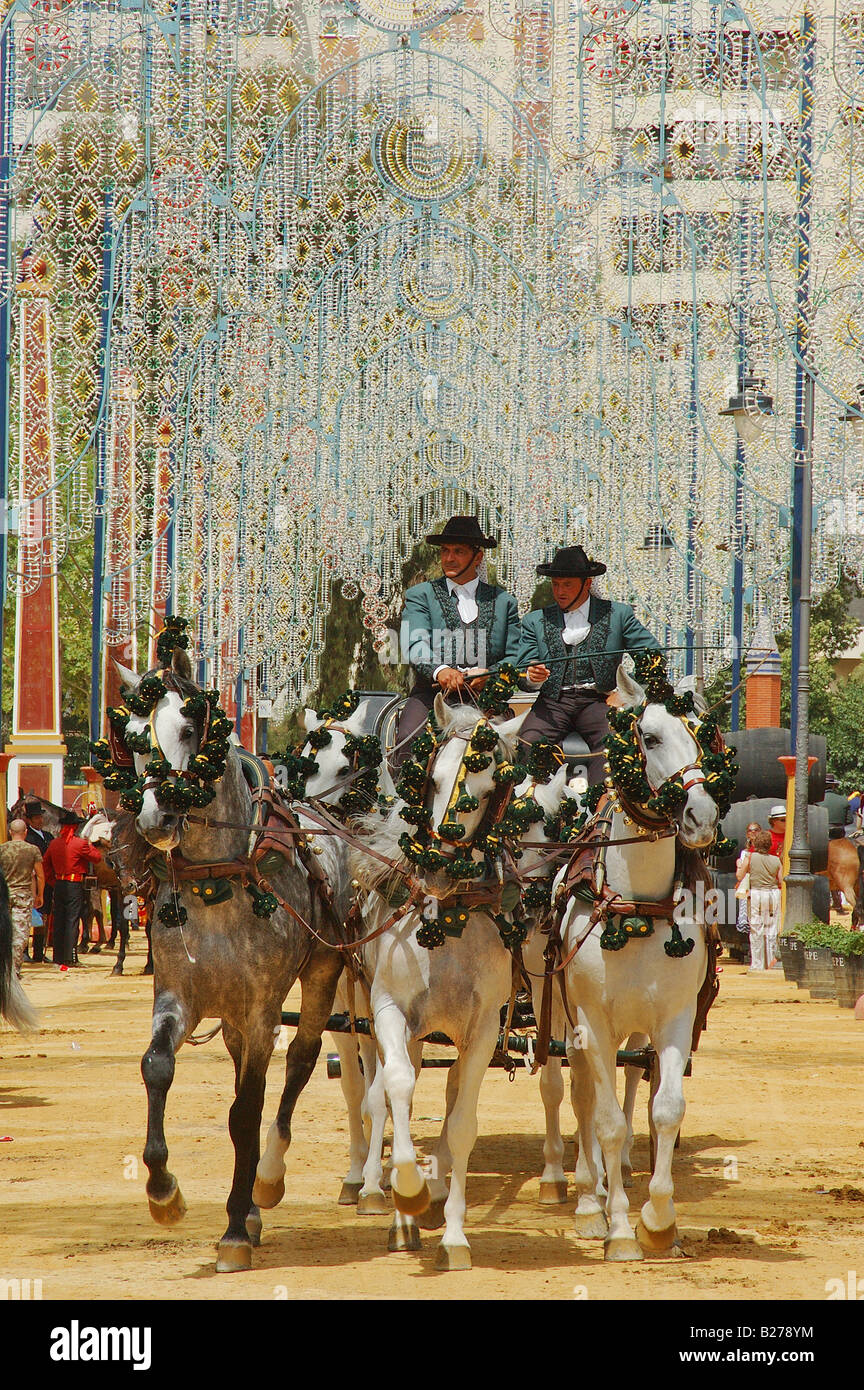 Jerez Horse High Resolution Stock Photography and Images - Alamy