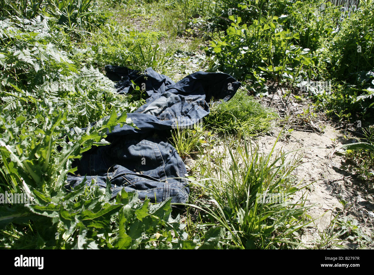 jeans discarded in undergrowth in grass field in country Stock Photo ...