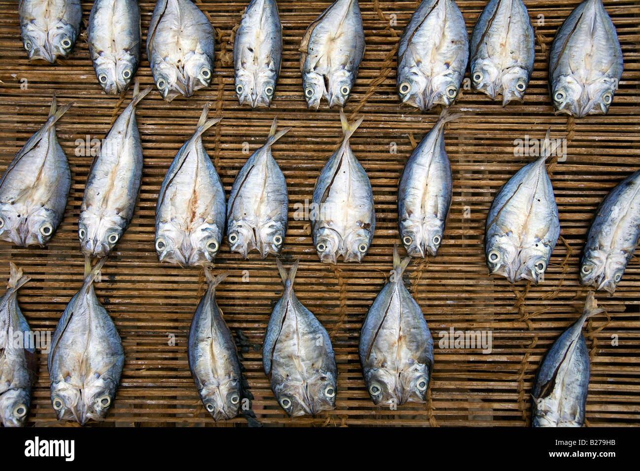 Tuyo hi-res stock photography and images - Alamy