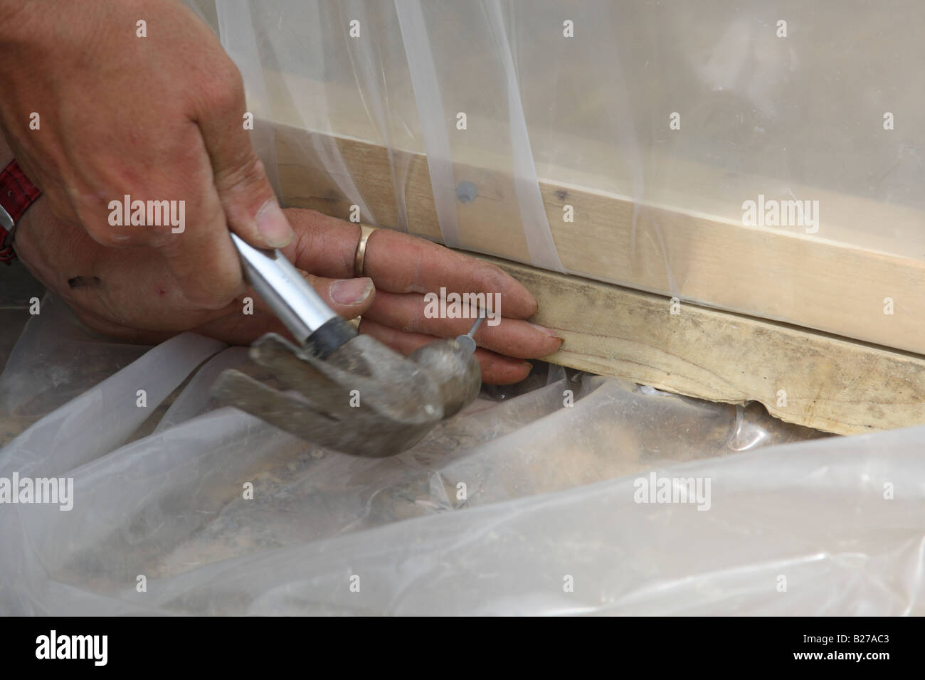 BUILDING A POLY TUNNEL FIX POLYTHENE TO END FRAME WITH WOODEN BATTENS ...