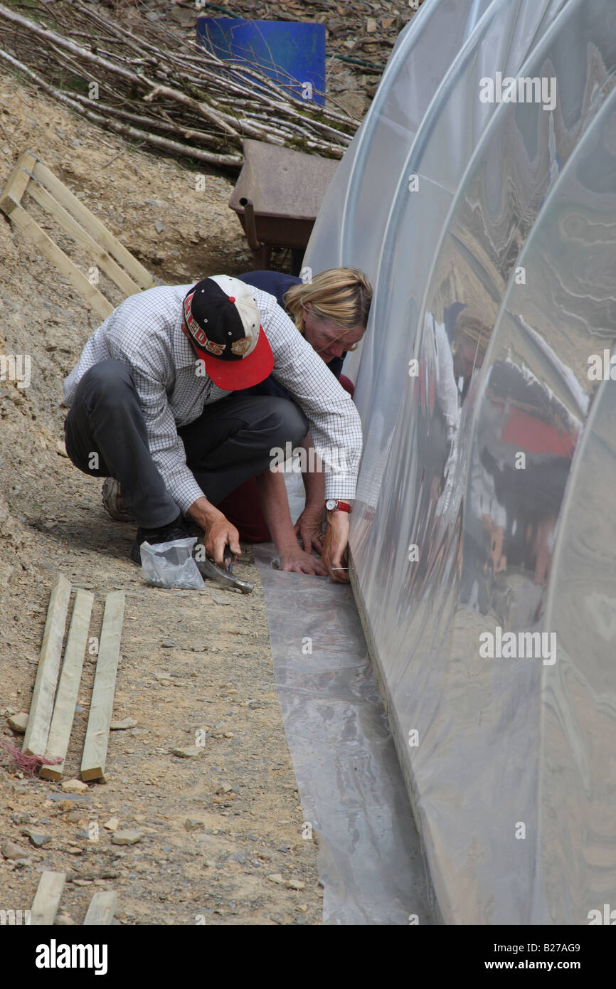 BUILDING A POLY TUNNEL FIXING THE BATTENS TO THE SIDE OF THE TUNNEL ...