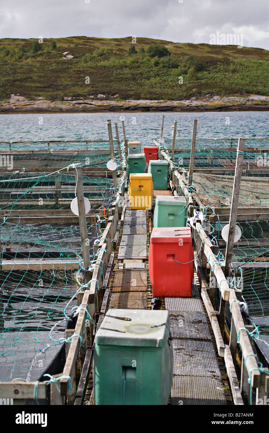 Salmon farm near Ullapool, Scotland Stock Photo - Alamy