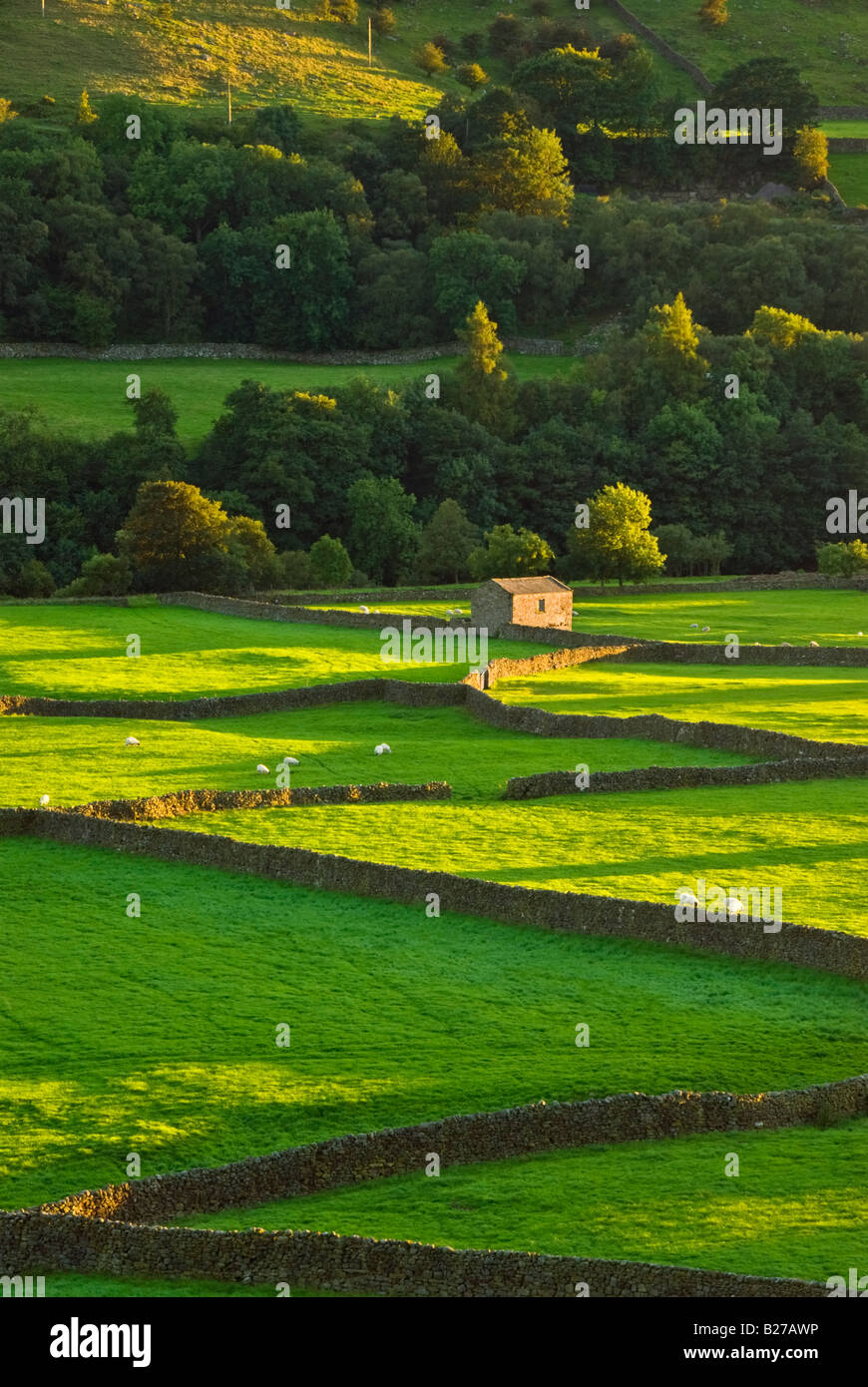 Patchwork of fields barns and dry stone walls typical of the north of ...