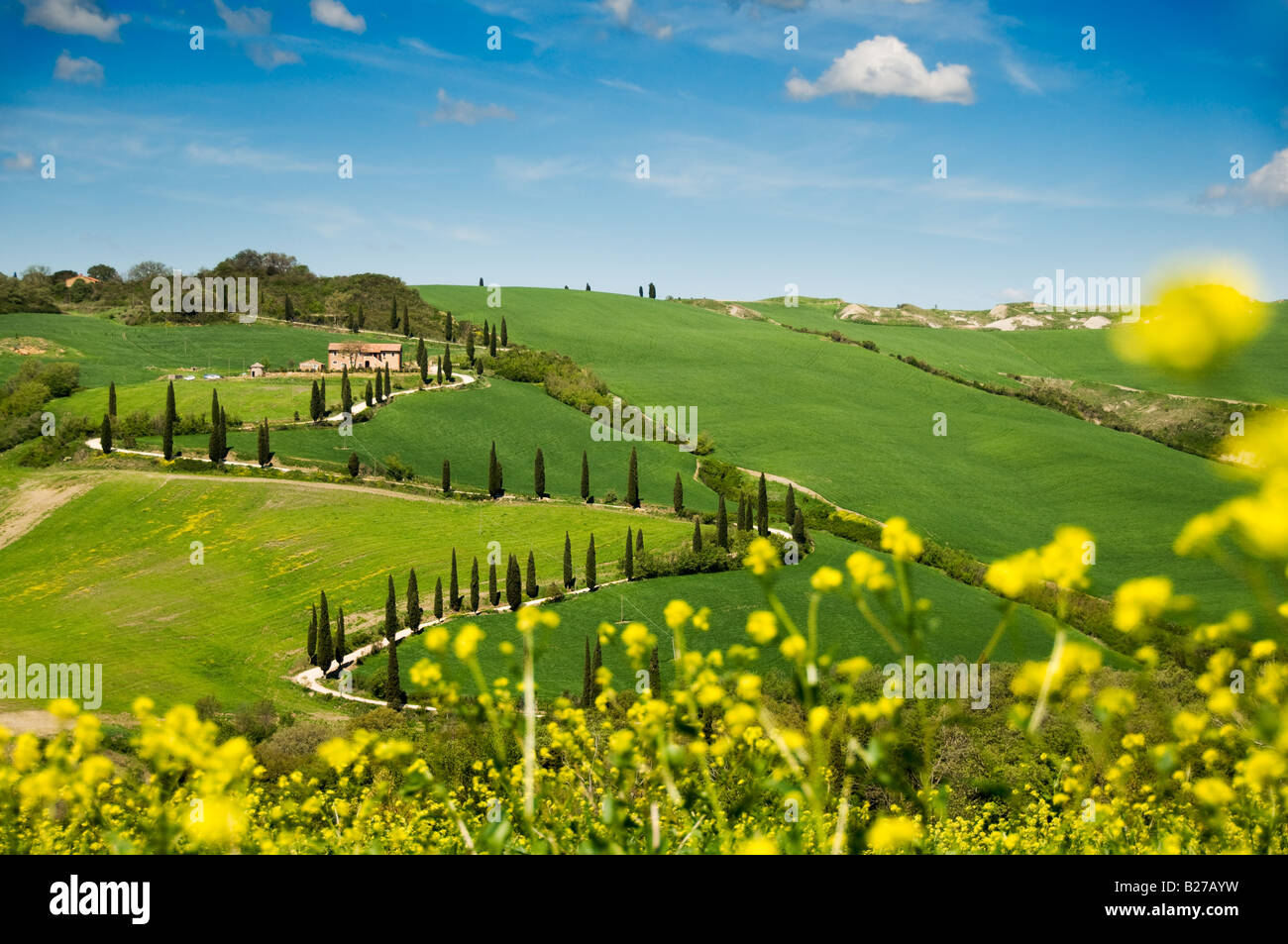 Surprising landscape of Tuscany hills in a spring day Stock Photo - Alamy