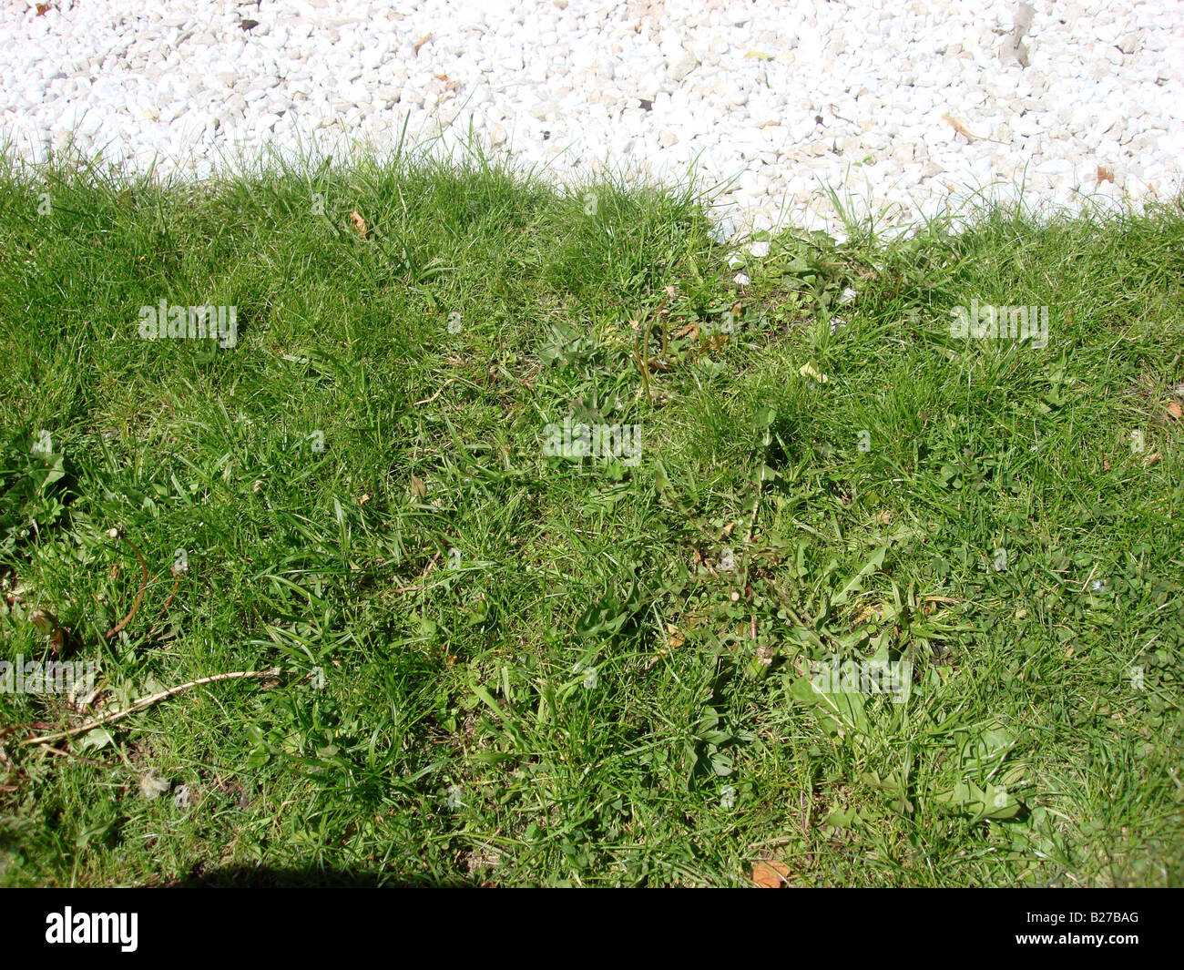 Grass pebble hi-res stock photography and images - Alamy