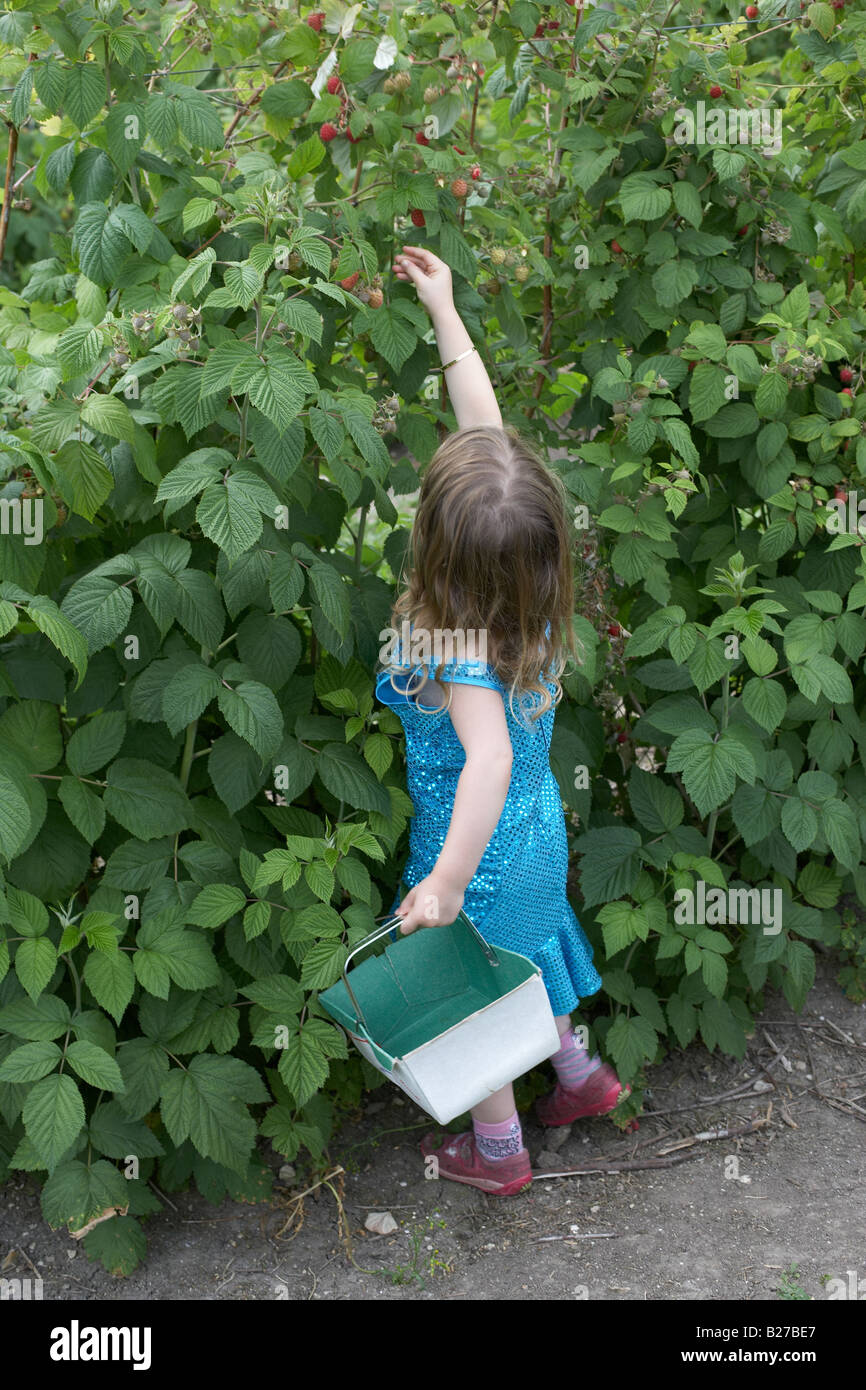 Girl picking fruit Stock Photo - Alamy