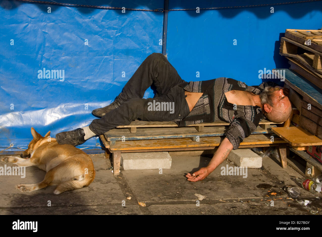 Homeless man in wooden shelter hi-res stock photography and images - Alamy
