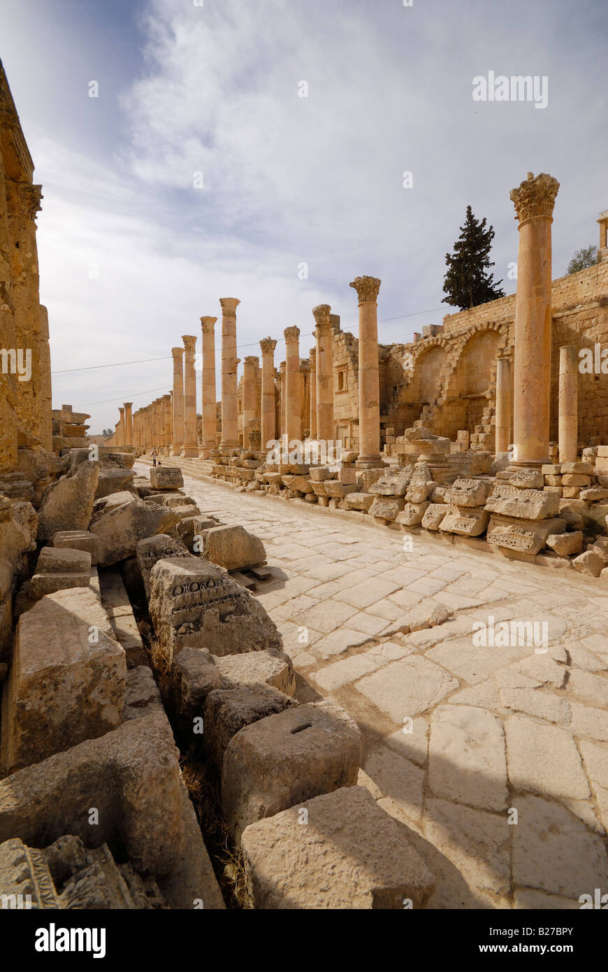 columns of Cardo Maximus in Ruins of Jerash Roman Decapolis city dating ...