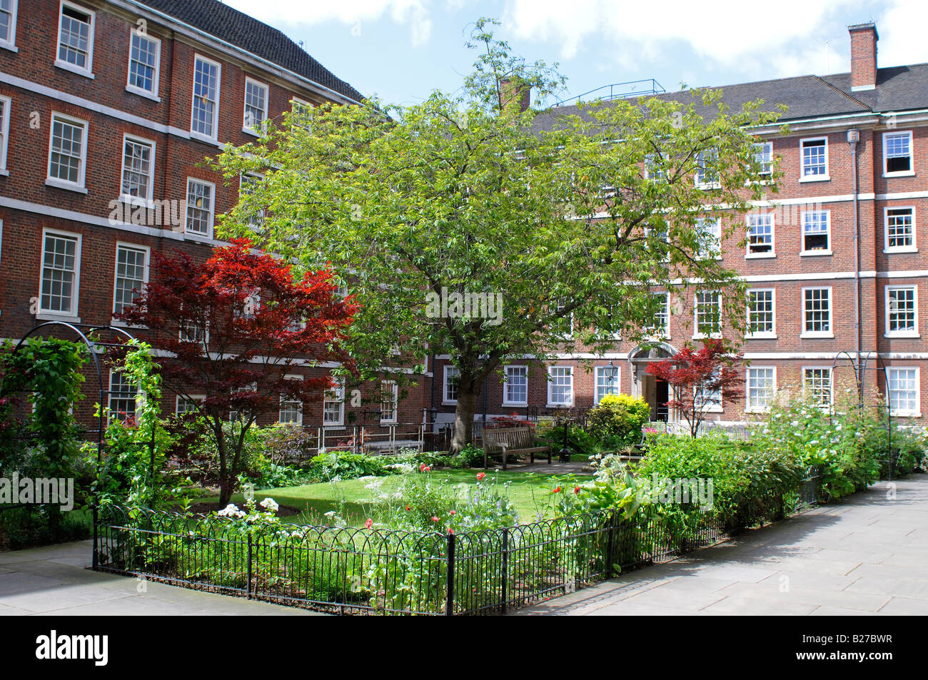 Court of the fig tree hi-res stock photography and images - Alamy