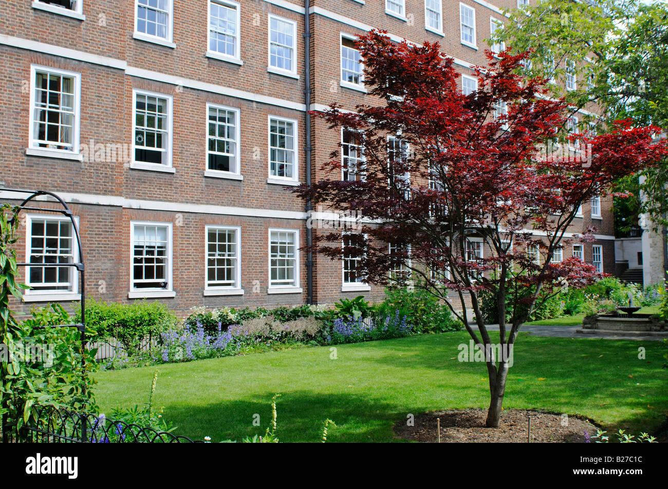Elm Court or Fig Tree Court in Temple London Stock Photo - Alamy