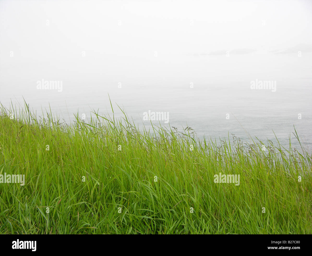 Grassy hill with ocean Stock Photo - Alamy