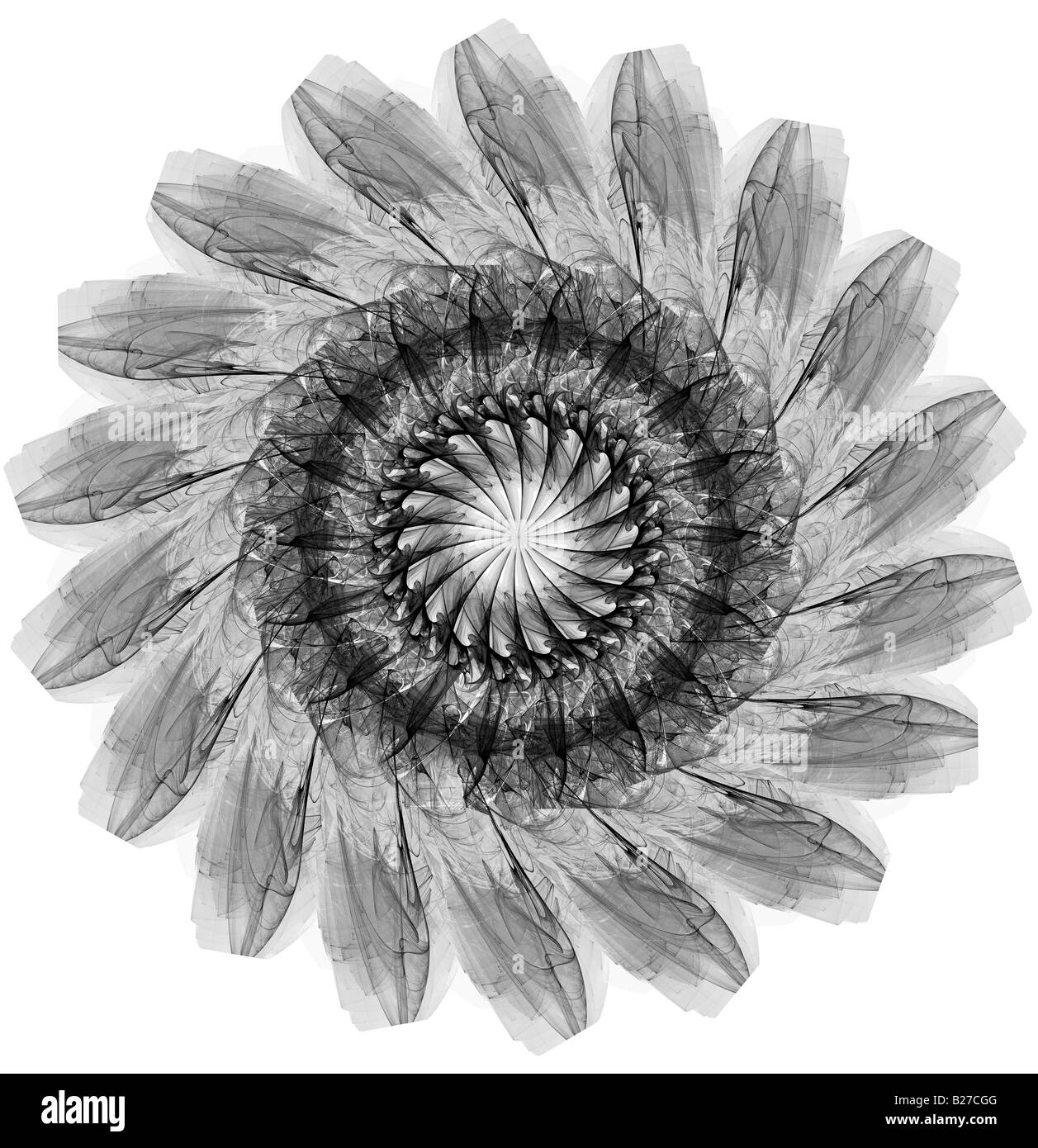 Flower illustration hi-res stock photography and images - Alamy