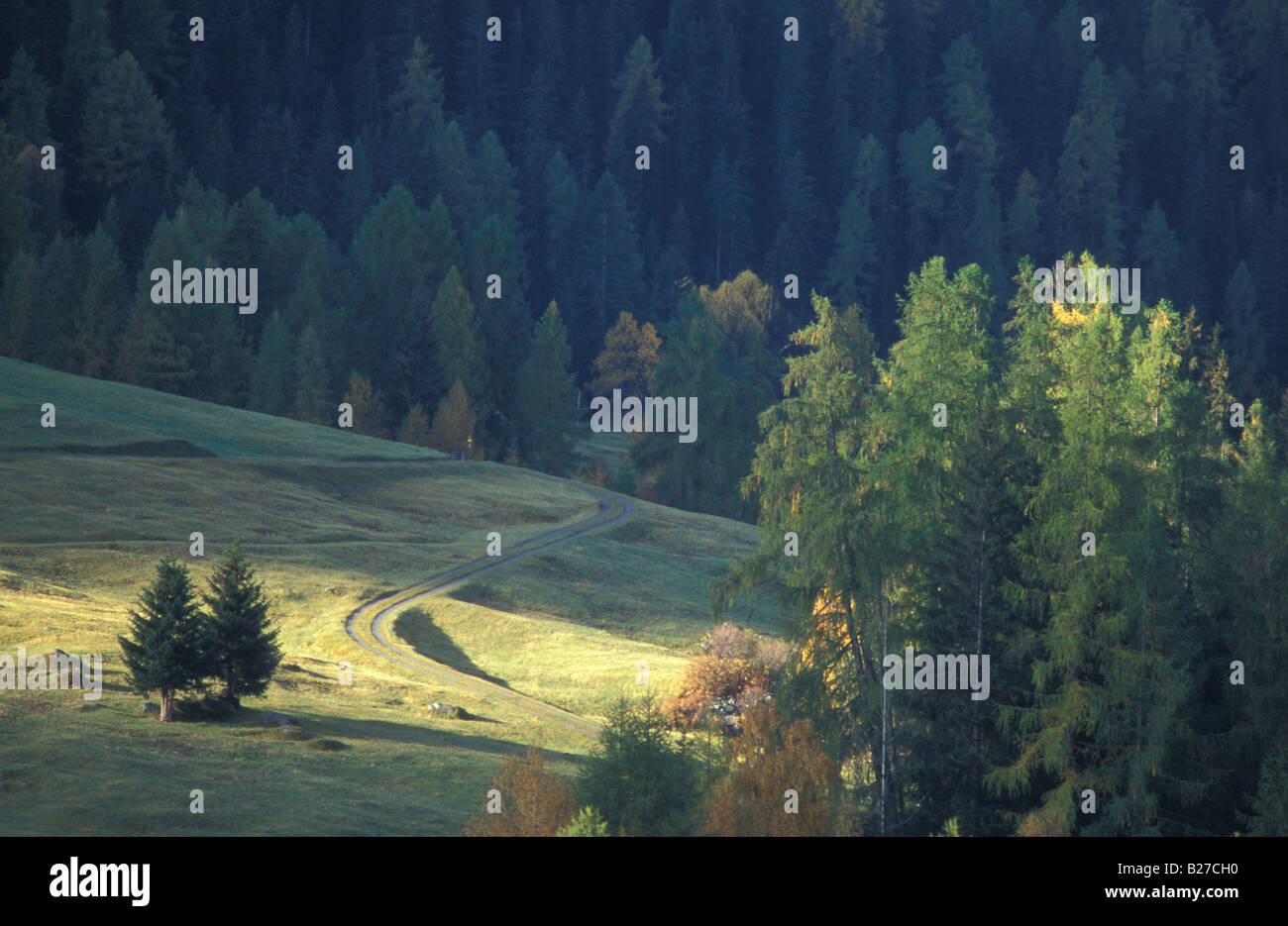 Track in the morninglight near Lavin Grisons Switzerland Stock Photo ...