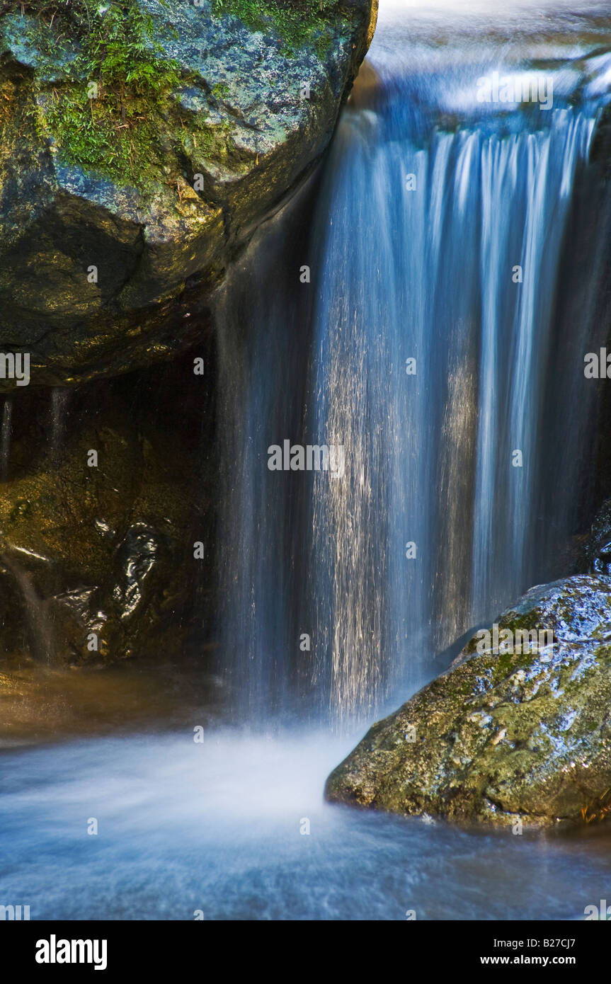 Waterfall on stream along Redwood Nature Trail Rogue River-Siskiyou ...