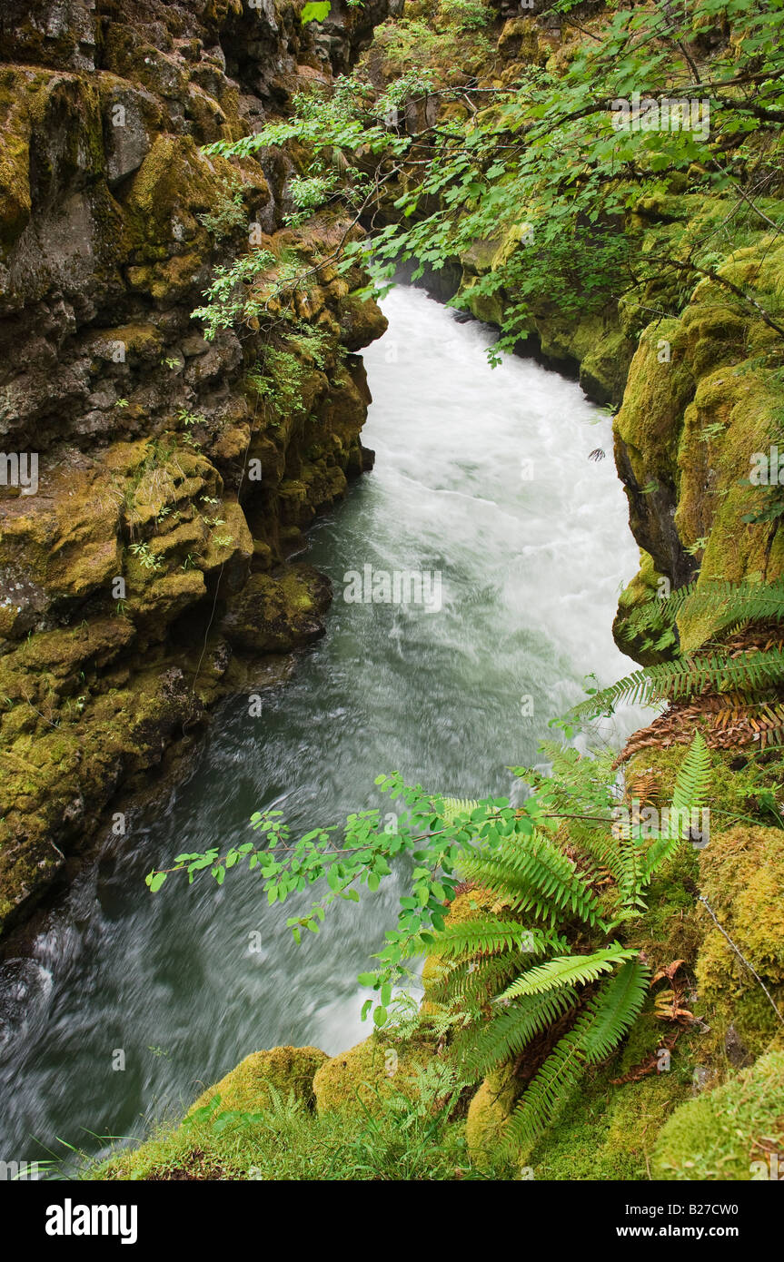 Rogue gorge hi-res stock photography and images - Alamy