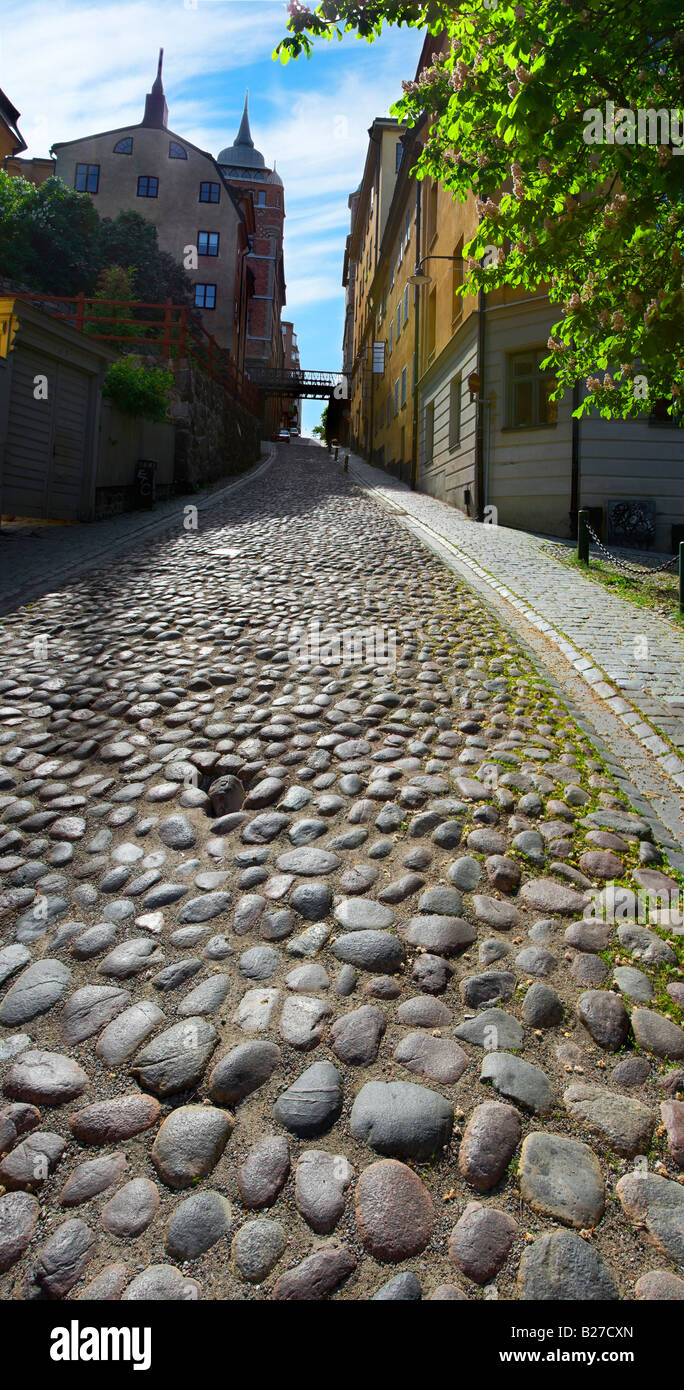 Street with cobblestones Stock Photo - Alamy
