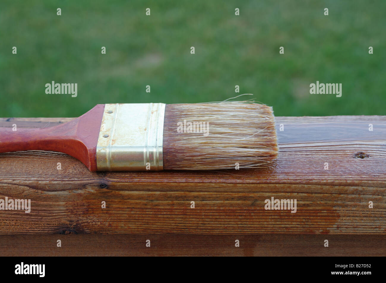 Cedar stain hi-res stock photography and images - Alamy
