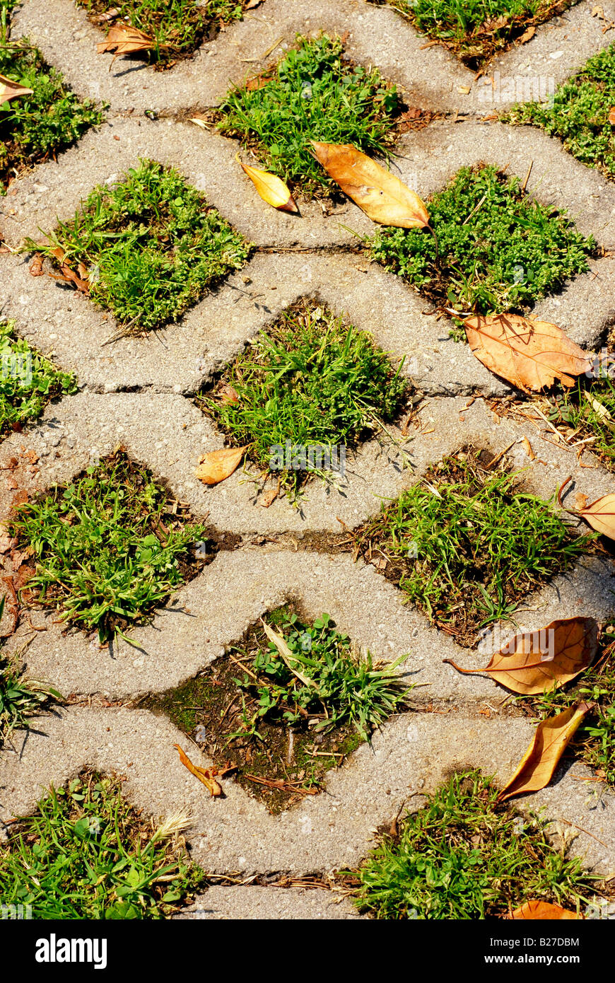 Turf stone used to pave a residential driveway Stock Photo - Alamy