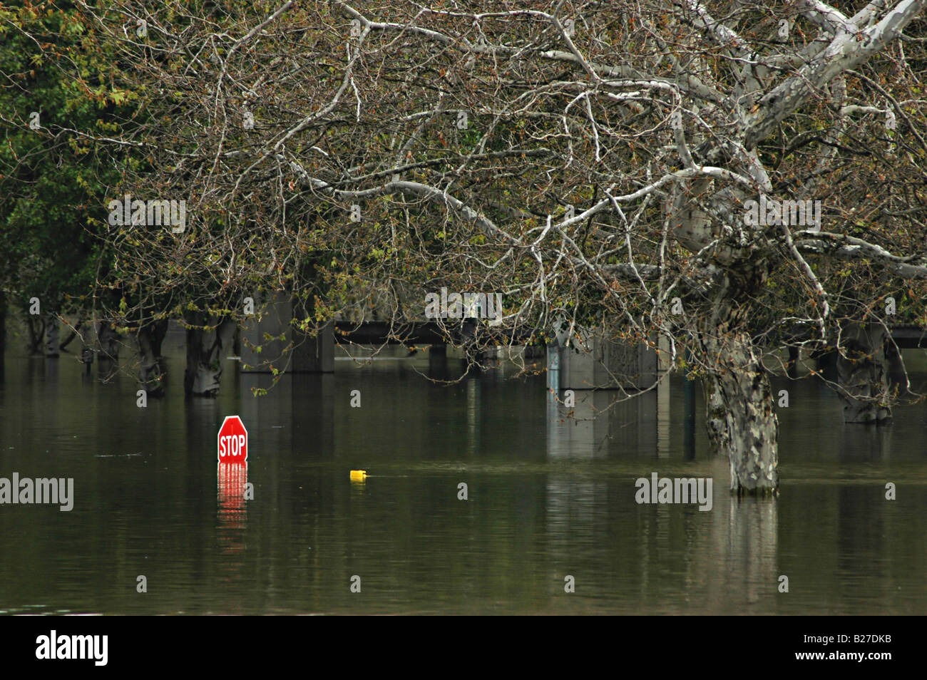 Stop sign covered by flood waters in California Stock Photo - Alamy