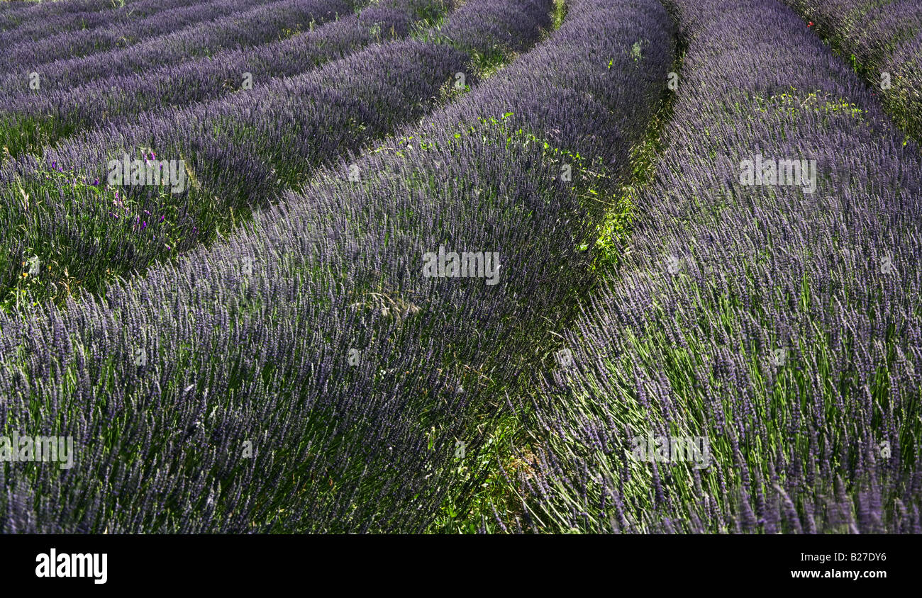 Manosque france hi-res stock photography and images - Alamy