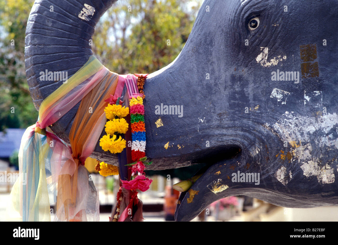 Wat Chalong sacred elephant phuket thailand Stock Photo - Alamy