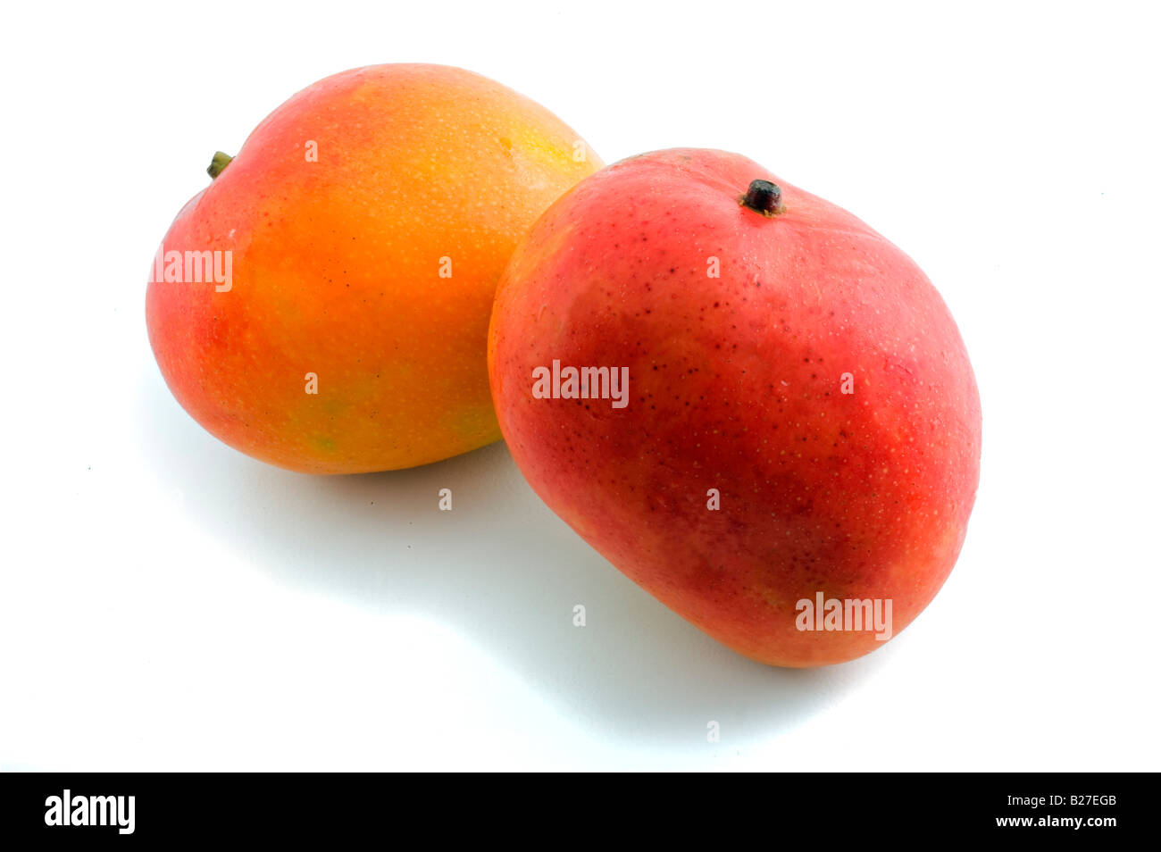 Mango maya hi-res stock photography and images - Alamy