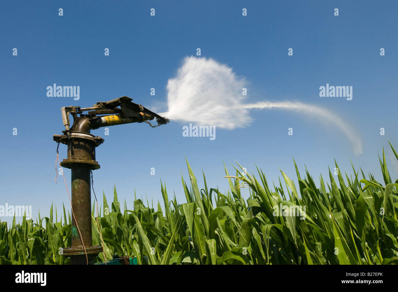 Maize Irrigation Stock Photos & Maize Irrigation Stock Images - Alamy