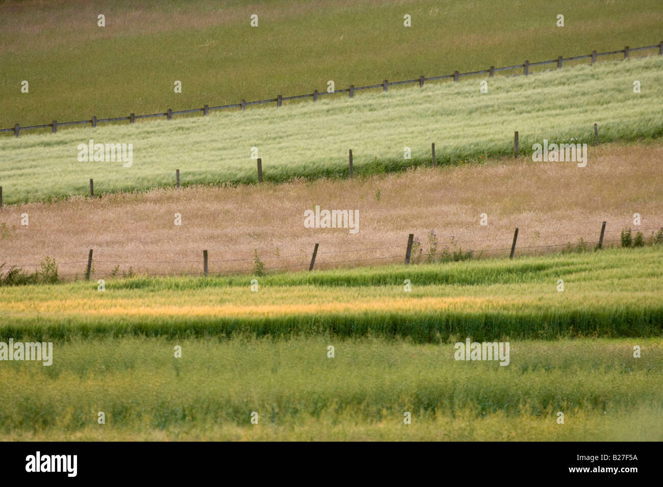 Open field crops hi-res stock photography and images - Alamy