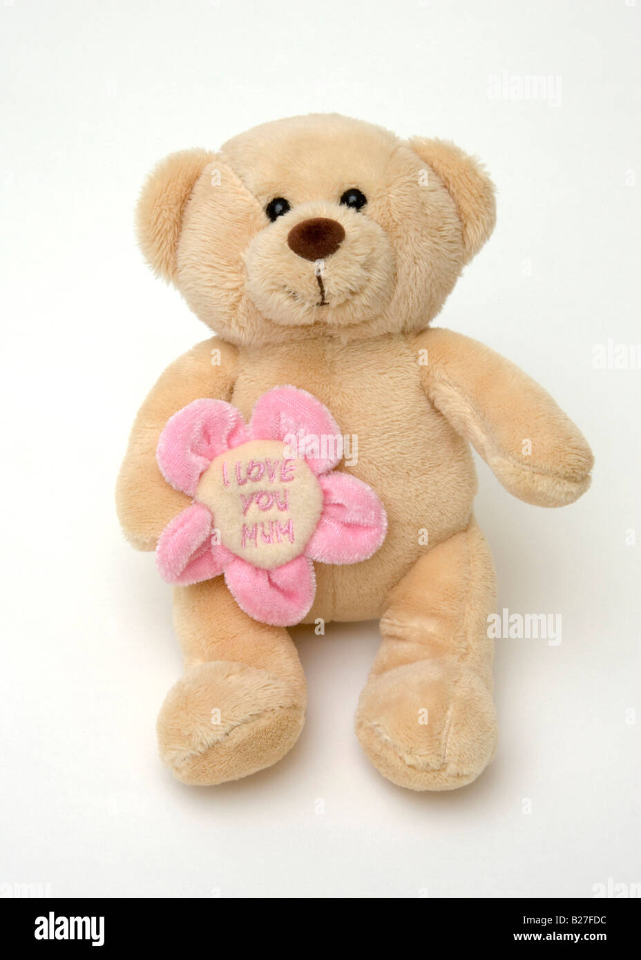 Cuddly teddy bear hi-res stock photography and images - Alamy