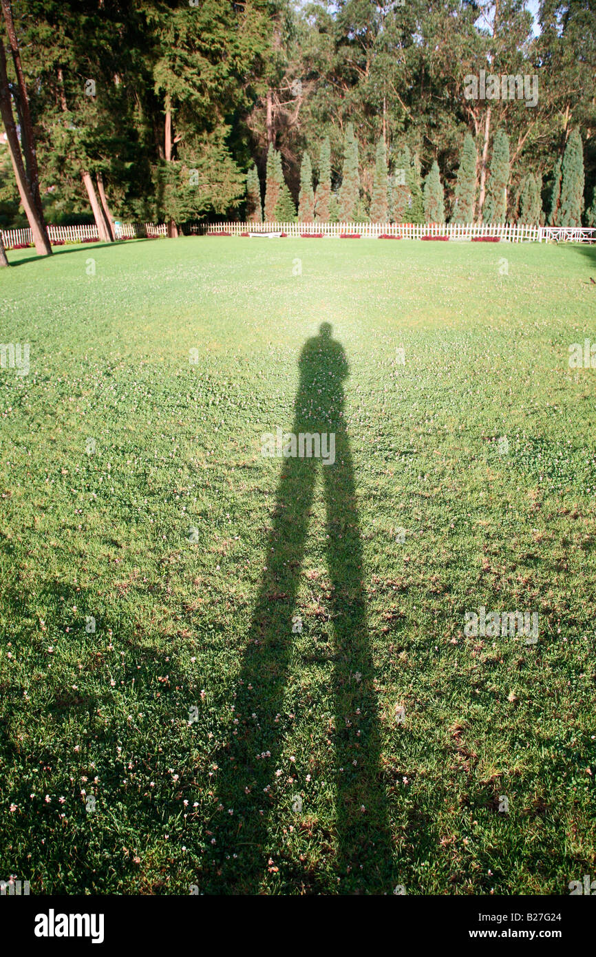 Shadow on a lawn Stock Photo - Alamy