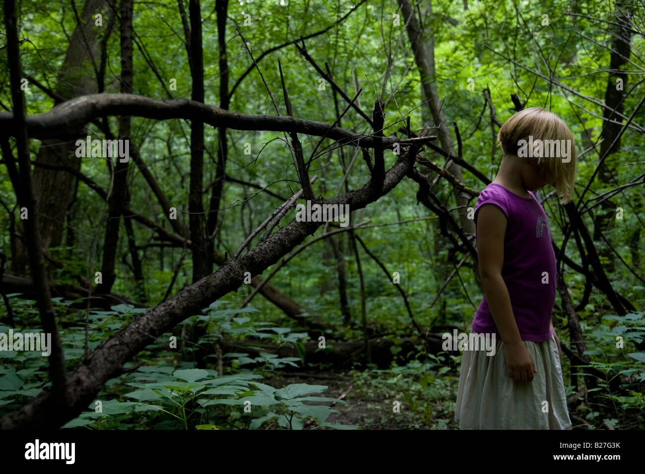 A young girl standing in a forest near fallen tree branches Stock Photo ...