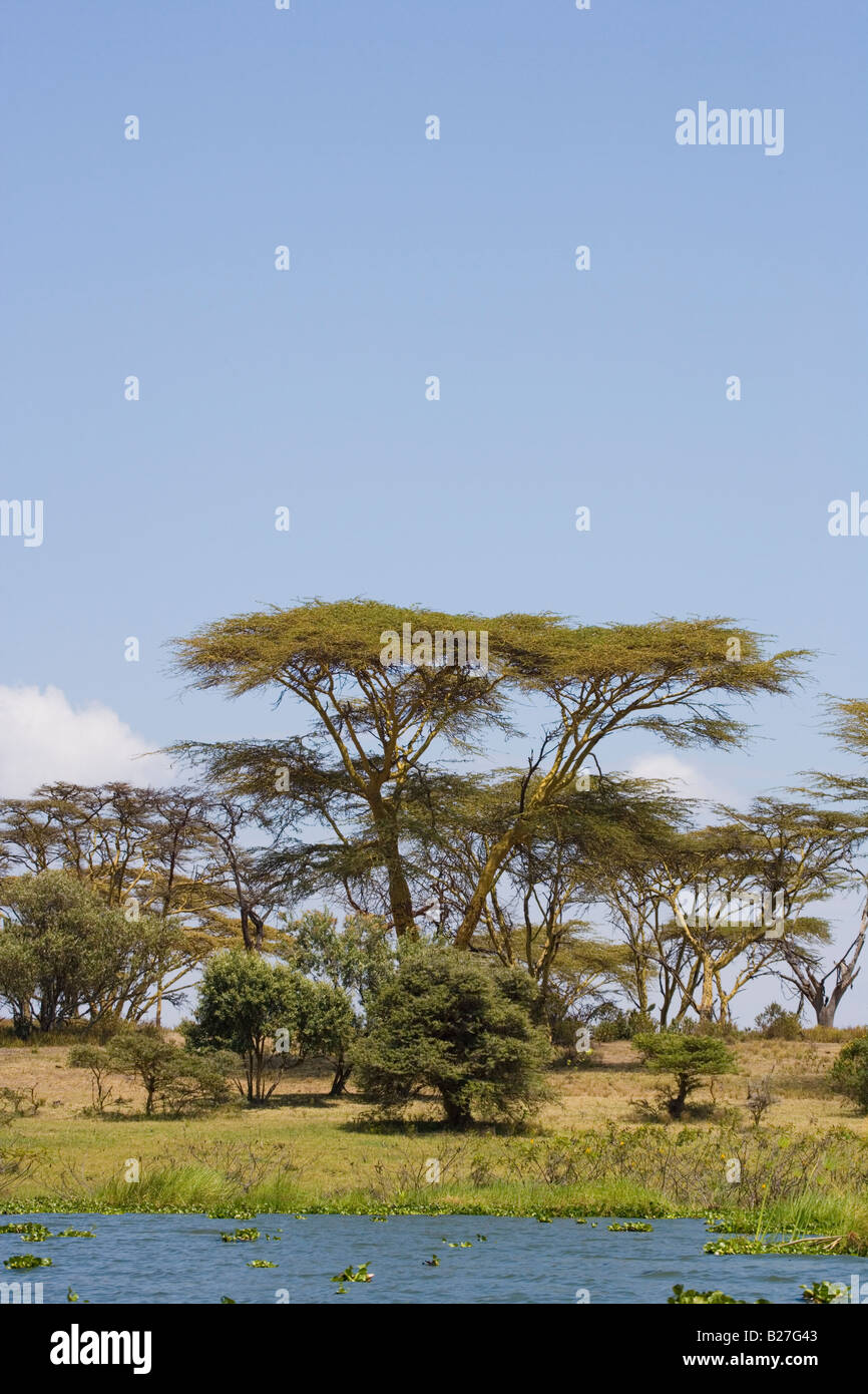 Lake Naivasha Great Rift Valley Kenya Africa Stock Photo - Alamy
