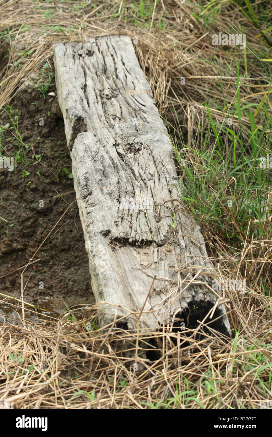Creaky bridge hi-res stock photography and images - Alamy