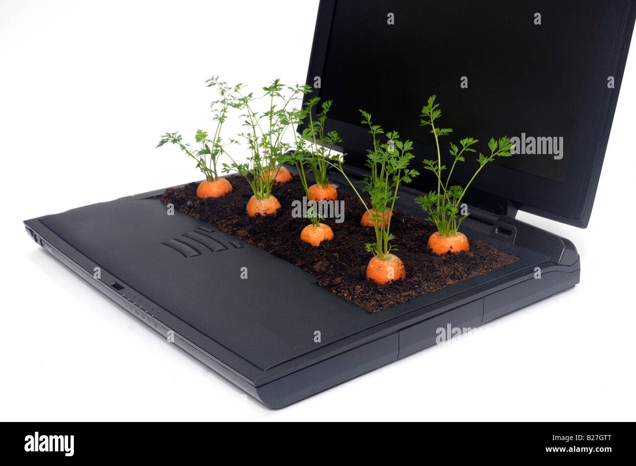A laptop computer with carrots growing through the keyboard Stock Photo ...