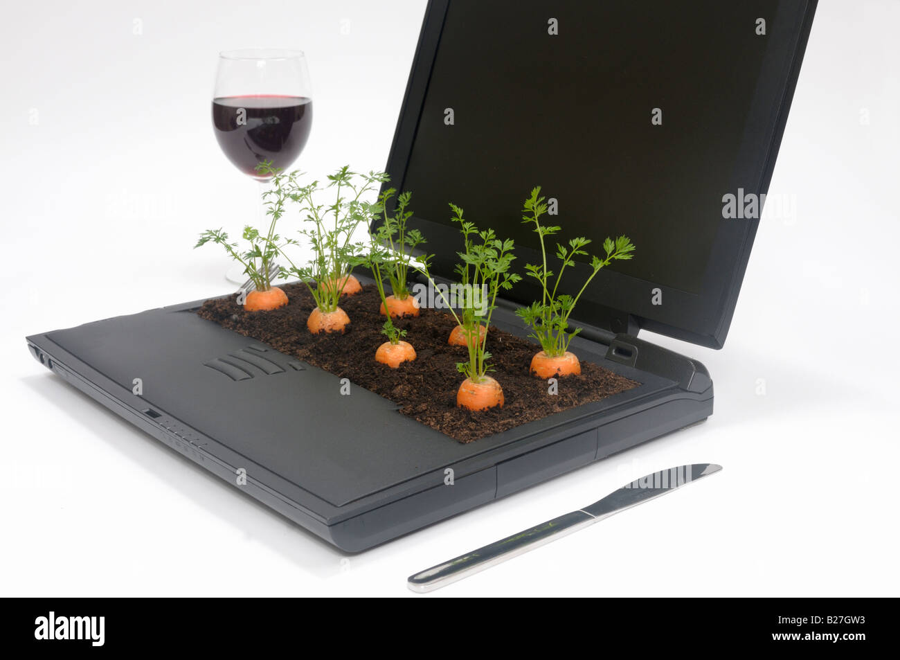 Sustainable wine growing hi-res stock photography and images - Alamy