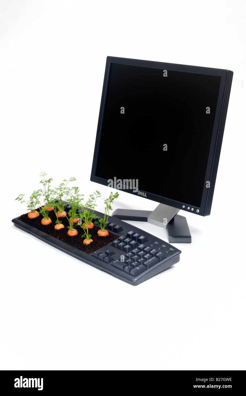 A desktop computer with carrots growing through the keyboard Stock ...