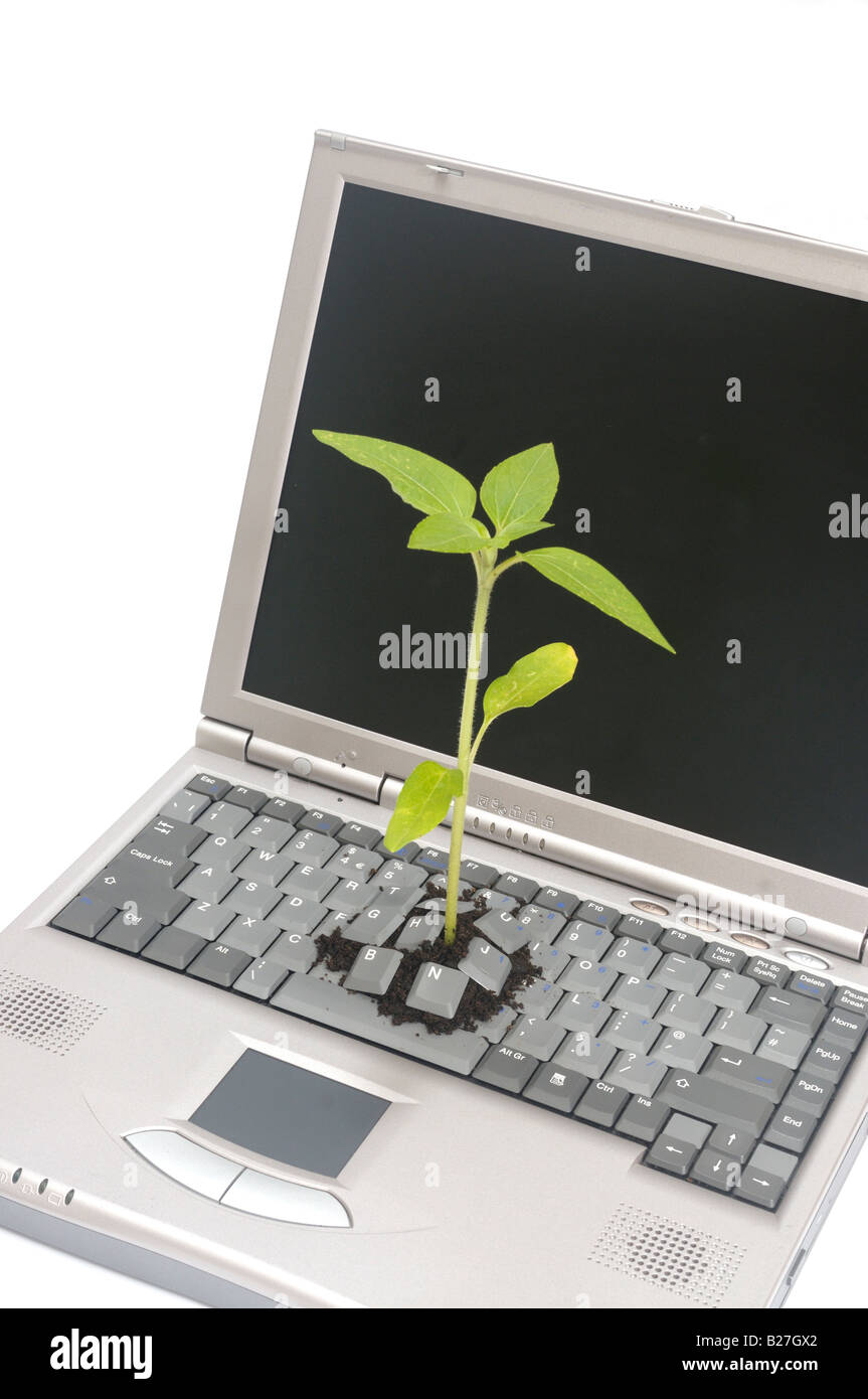 A laptop computer with a seedling growing through the keyboard Stock ...