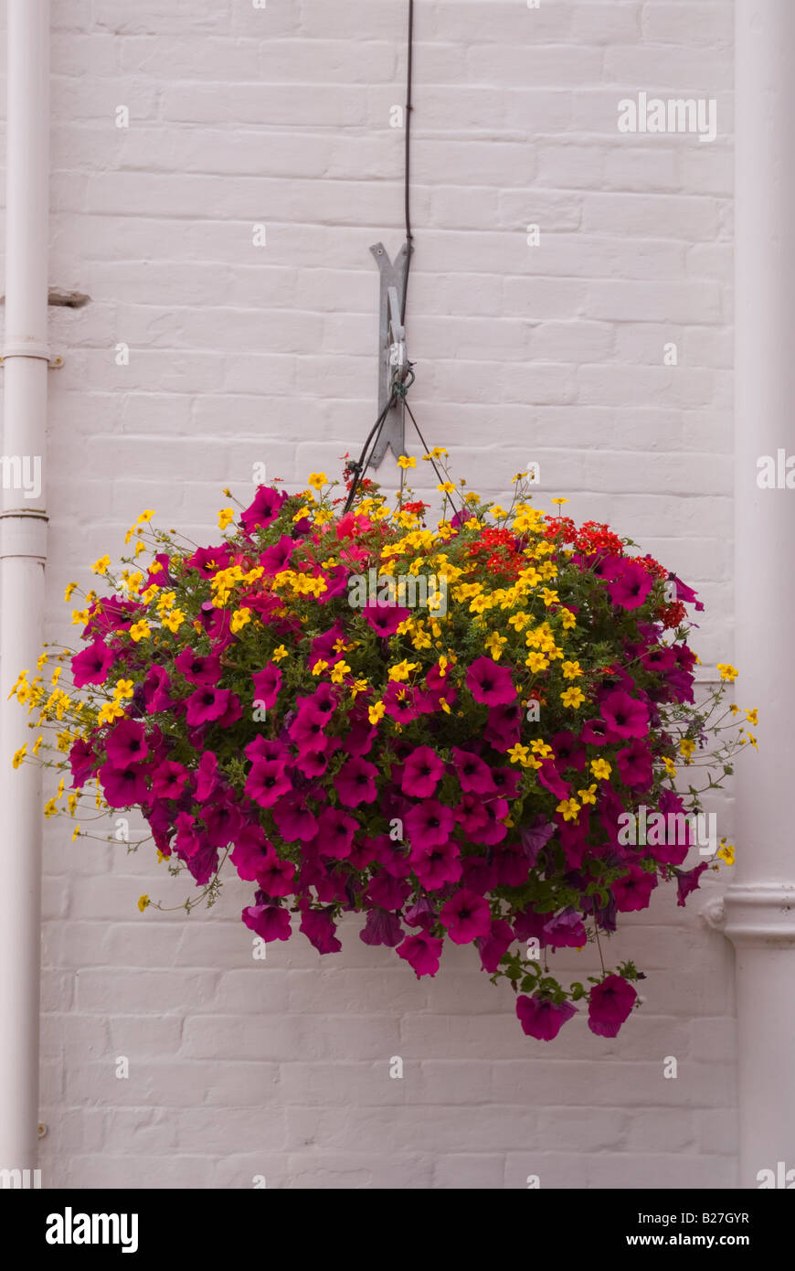 Pink hanging baskets hi-res stock photography and images - Alamy