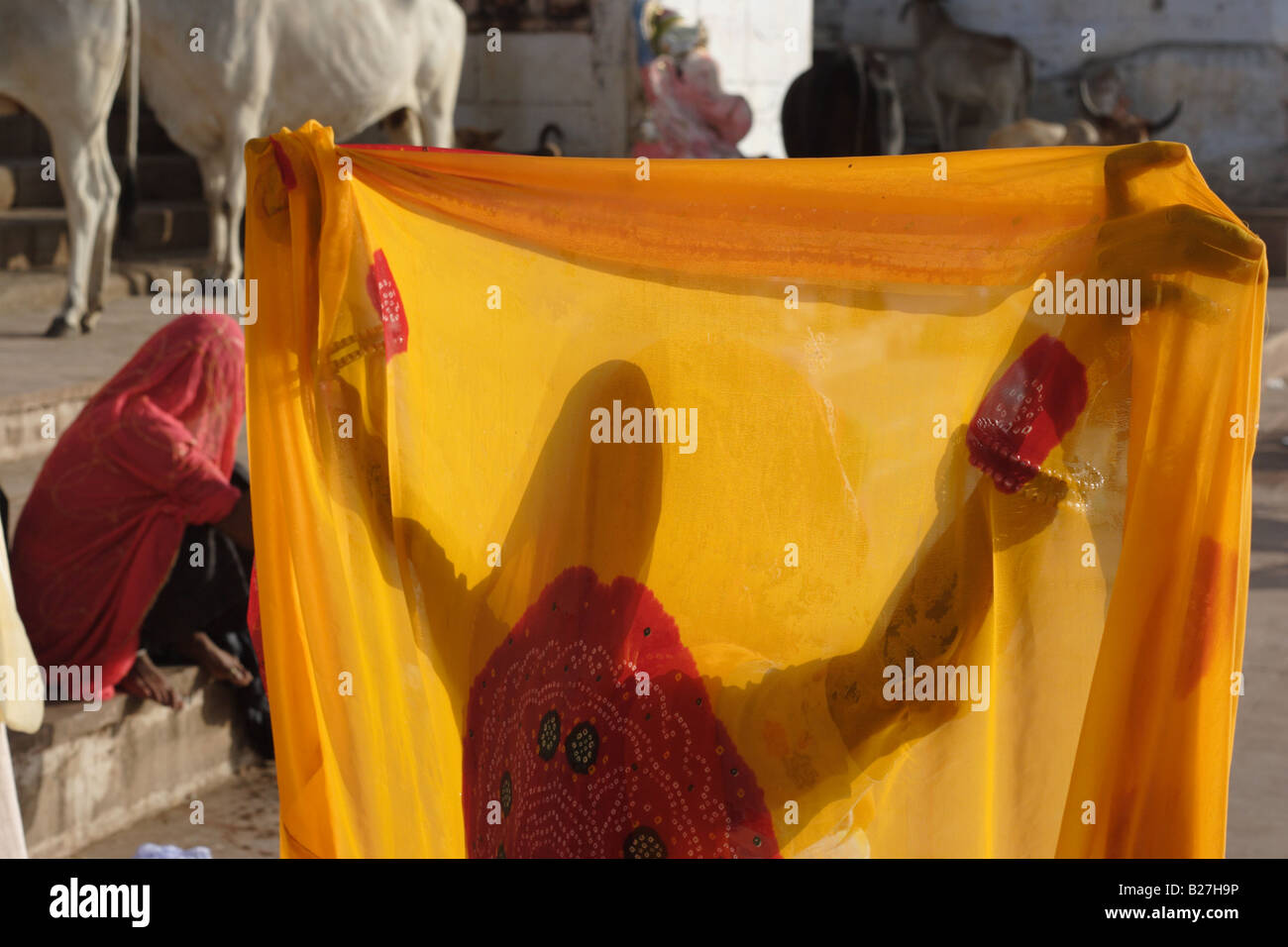 Wet sari hi-res stock photography and images - Alamy