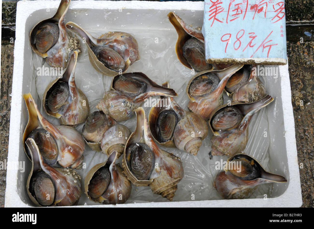 Fresh cooked whelks hi-res stock photography and images - Alamy
