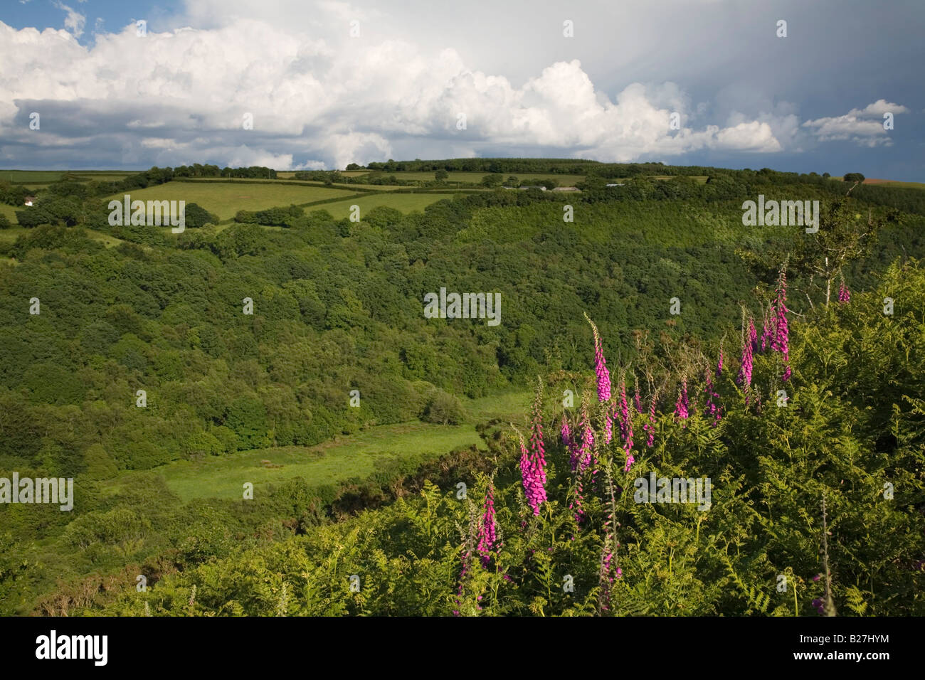 Cadsonbury fort hi-res stock photography and images - Alamy
