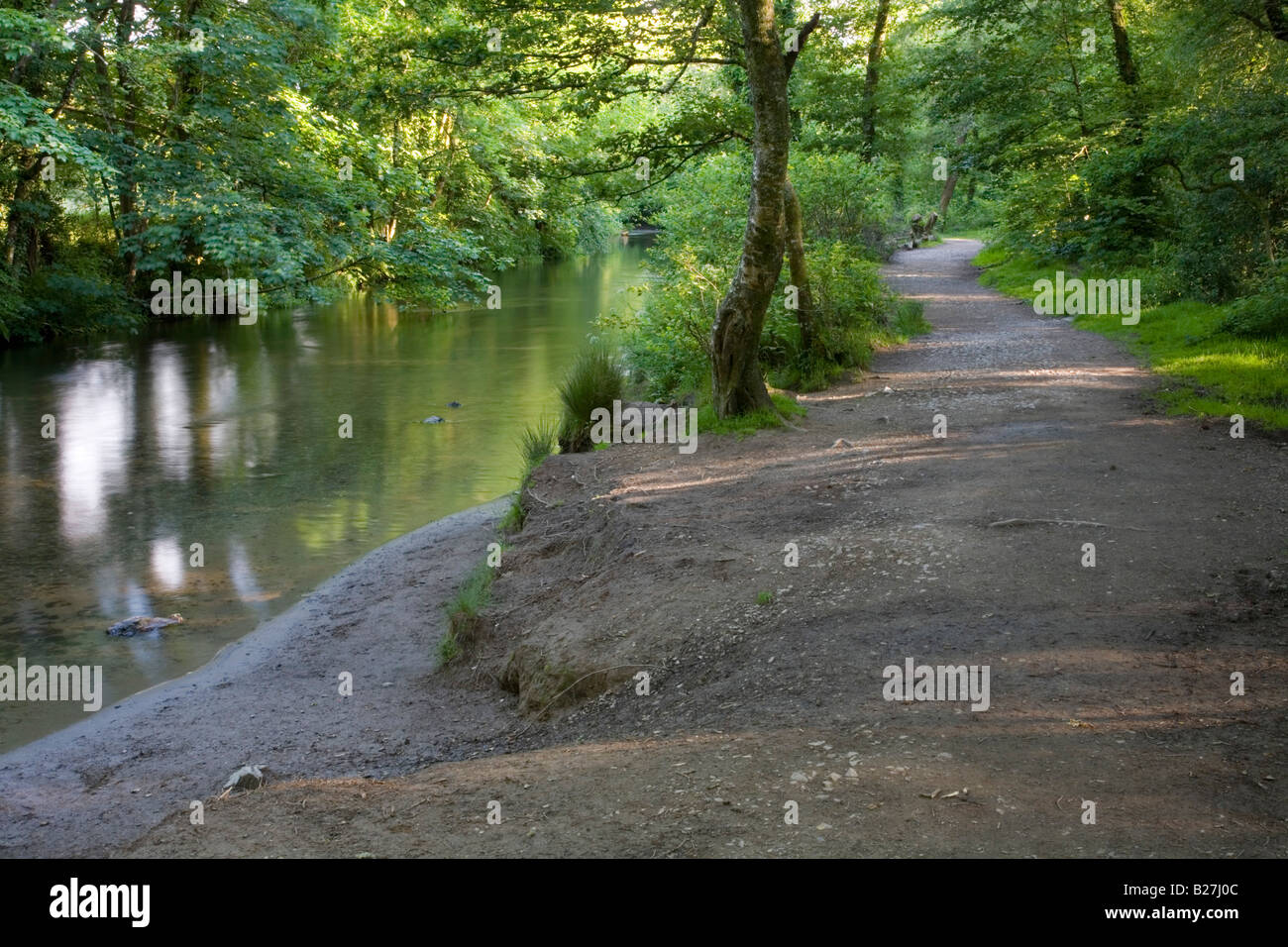 river lynher near cadsonbury fort cornwall Stock Photo - Alamy