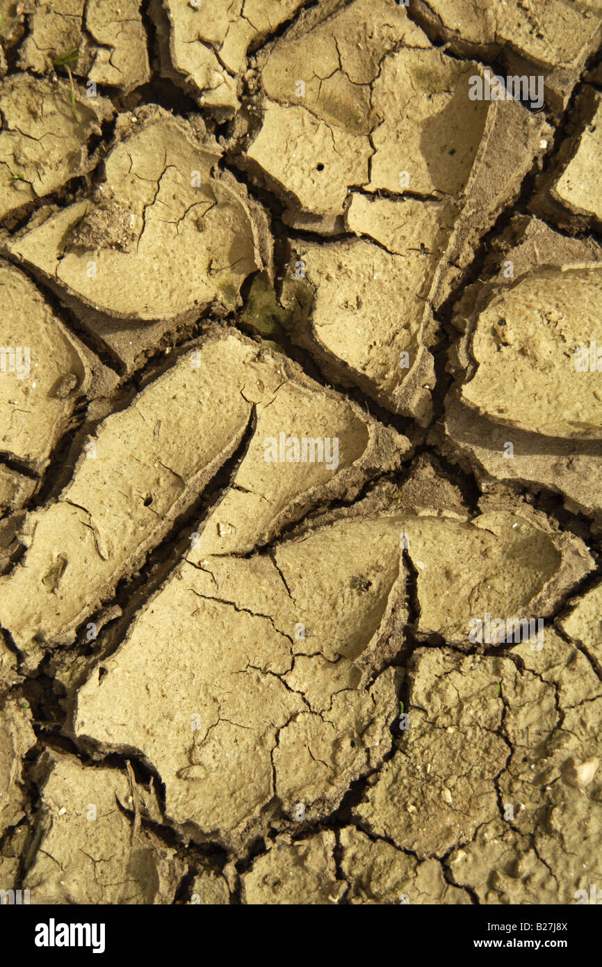 Patterns in the mud hi-res stock photography and images - Alamy