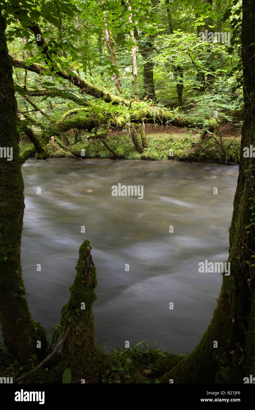river inny cornwall Stock Photo - Alamy