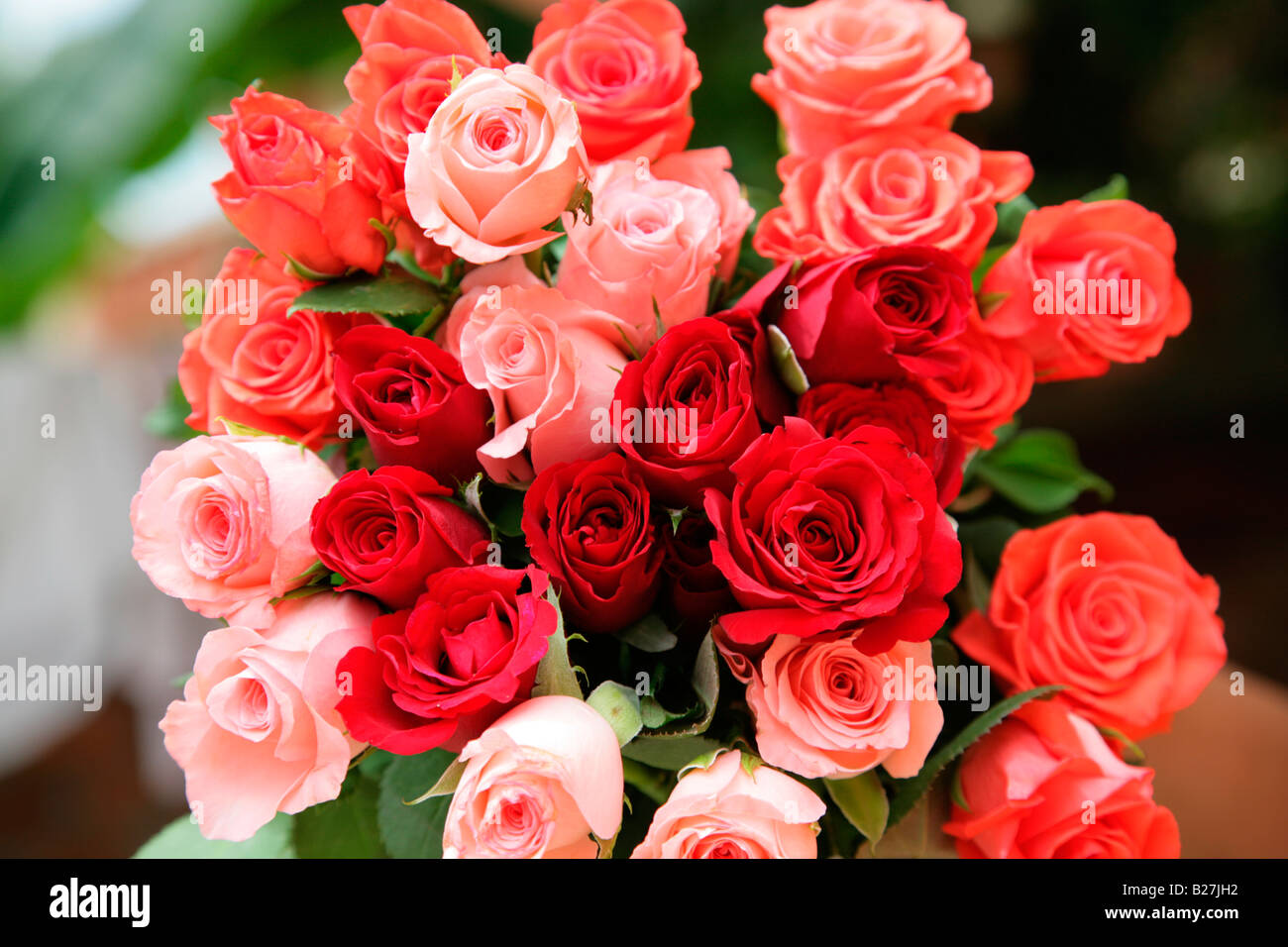 A bunch of rose flowers Stock Photo - Alamy