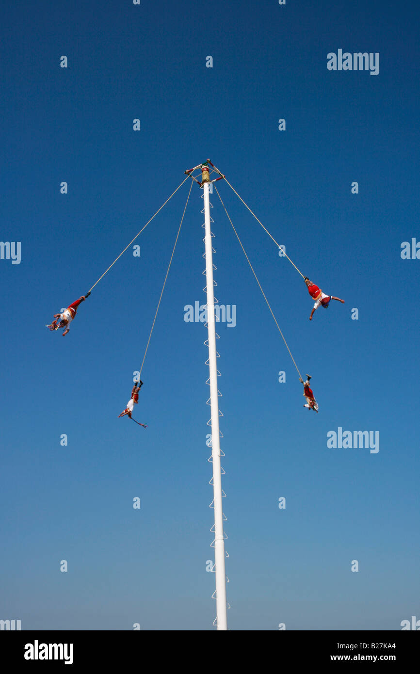 Four Voladores de Papantla attached by ropes swing upside down with ...
