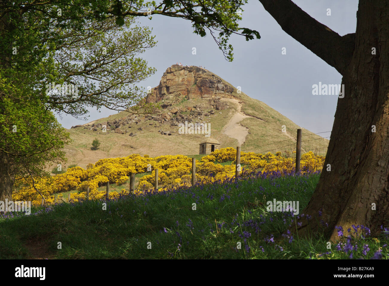 Roseberry Topping, North Yorkshire Stock Photo - Alamy