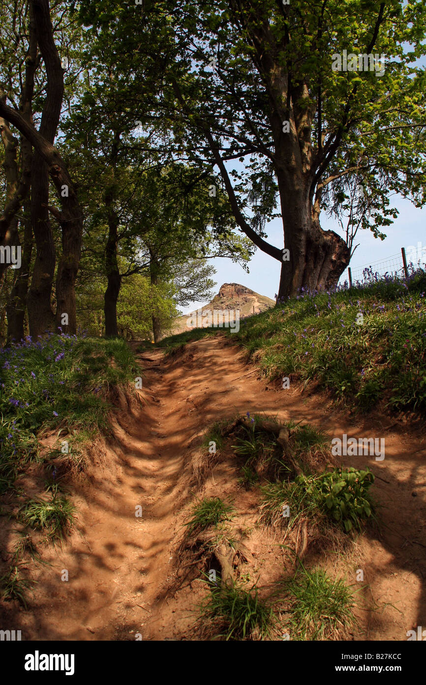 Path through wood toward Roseberry Topping, North Yorkshire Stock Photo ...