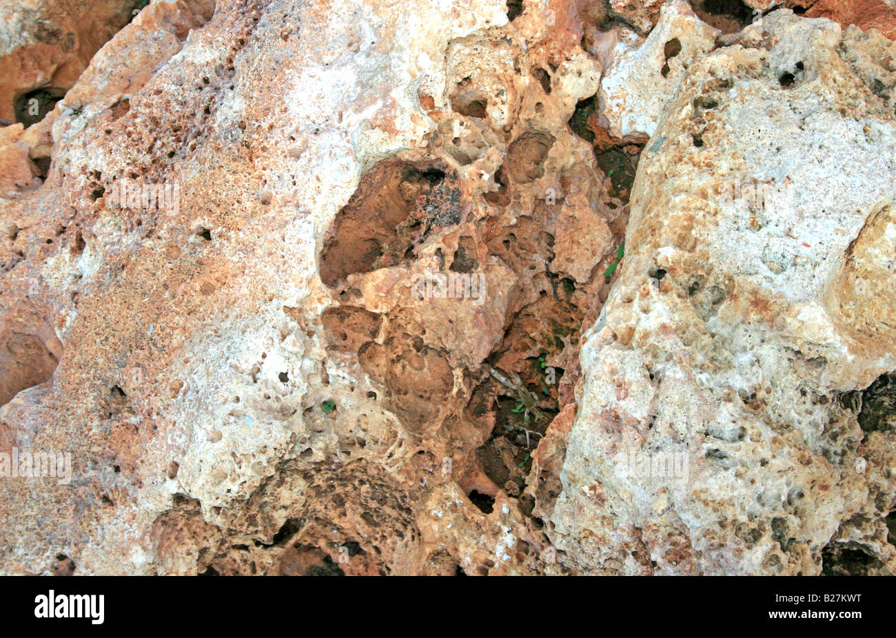 Fantastic shapes and texture of the stone Stock Photo - Alamy