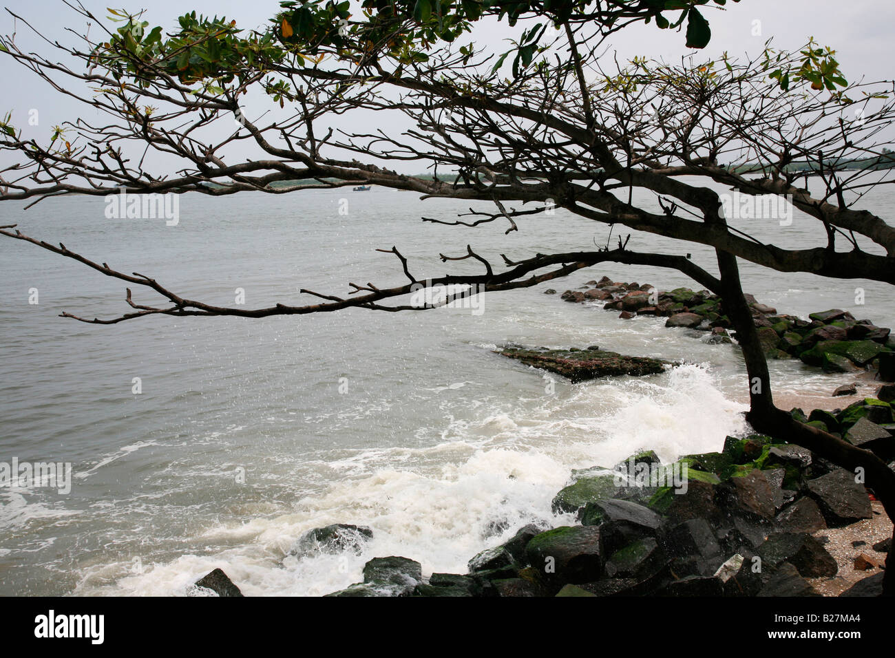 A view of fort kochi beach,Kerala,India Stock Photo - Alamy